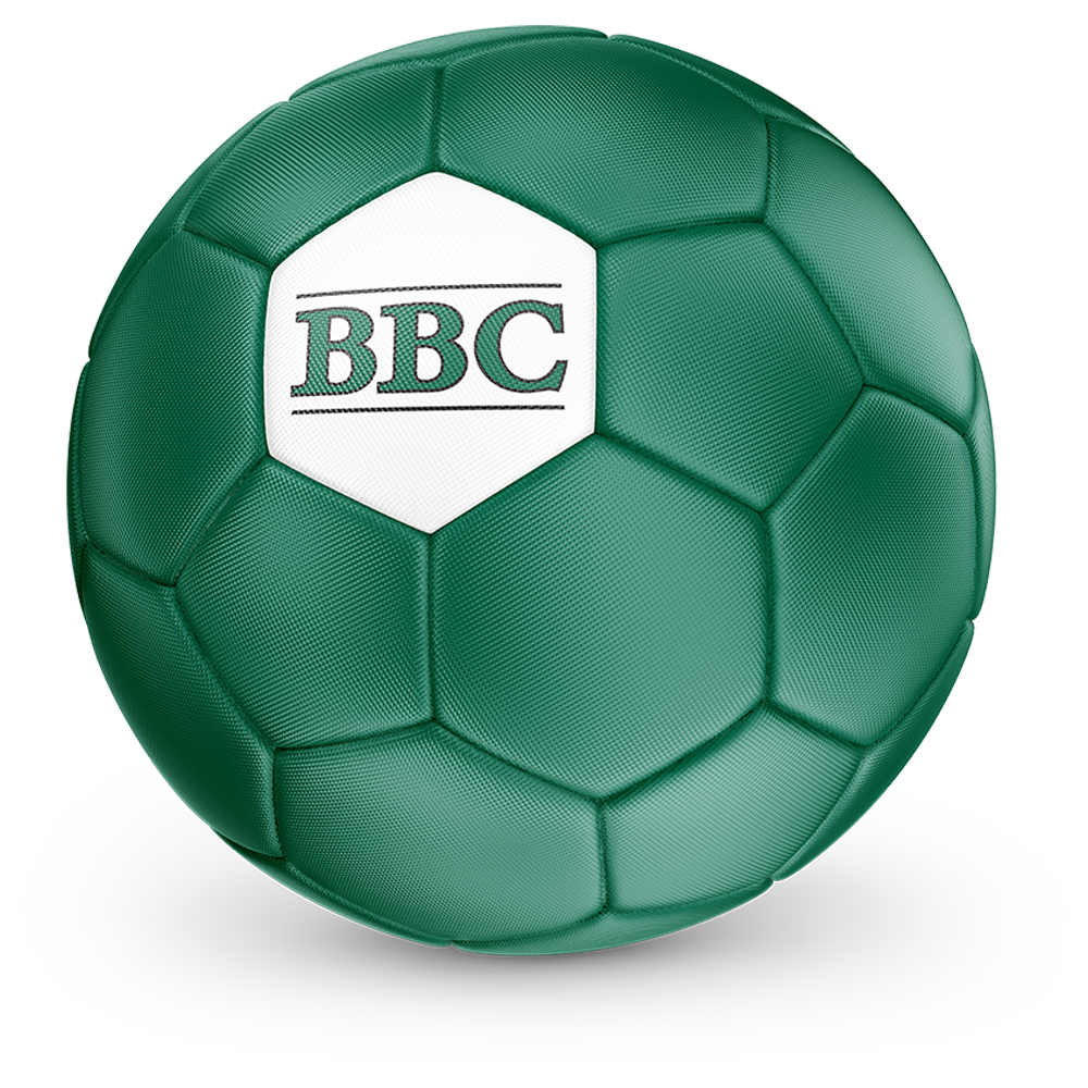 Custom Soccer Balls – Team Elite